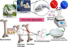 Unravelling The Nature Inspired Silk Sericin Calcium Phosphate Hybrid