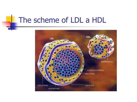 Ppt Atherosclerosis Powerpoint Presentation Free Download Id3466734