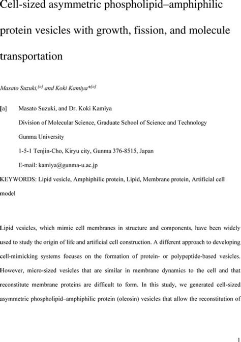 Cell Sized Asymmetric Phospholipidamphiphilic Protein Vesicles With Growth Fission And