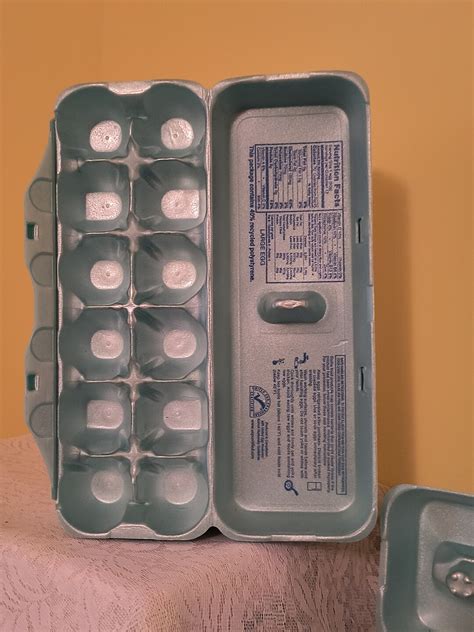Styrofoam Egg Cartons Previously Used Empty Egg Cartons Art And Craft Supply School Project