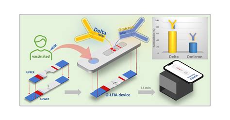 Overlaid Lateral Flow Immunoassay For The Simultaneous Detection Of Two Variant Specific Sars