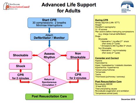 The Australian Resuscitation Council Is Best Described As