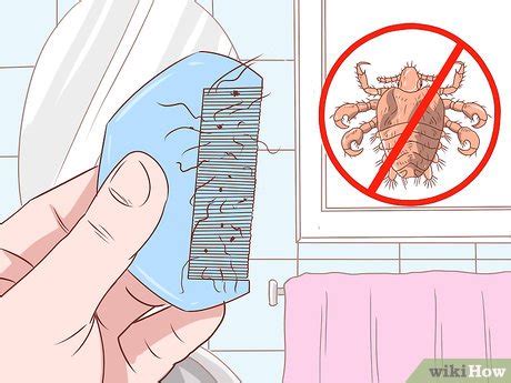 4 Ways To Treat And Prevent Crabs WikiHow