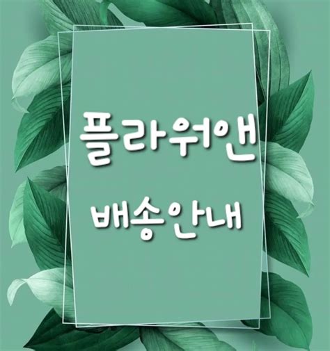 플라워앤🌷 창동꽃시장강북꽂도매상가 하츄핑시나몬롤쿠로미 인기 너무좋네요😍 ️프리저브드플라워 도매 강북꽃도매상가 위치 도봉구 마들로 11가길16 지하