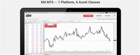Xm Forex Trading Platforms Mt4 Mt5 Desktop And Web Based Terminals