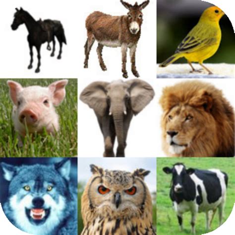 Animal Sounds Ringtones Uk Appstore For Android