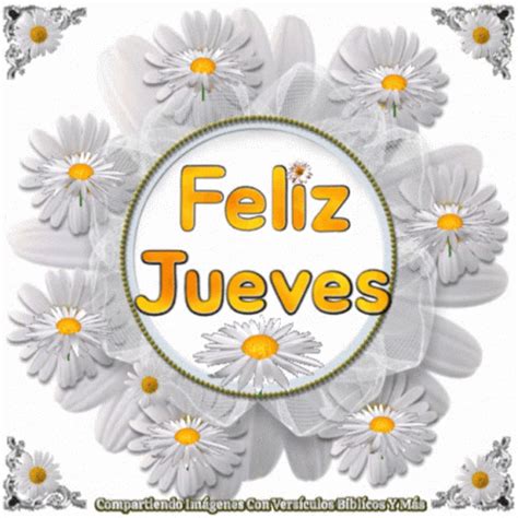 Feliz Jueves Flowers  Feliz Jueves Flowers Happy Thursday