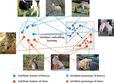 high discriminative attribute feature learning for generalized zero