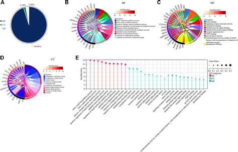 Hif 1 Signalling Pathway Was Identified As A Potential New Pathway For