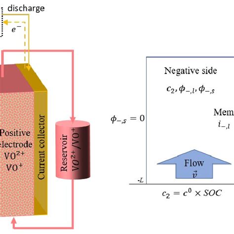 Schematic Left And Mathematical Model Right Of A Single Cell