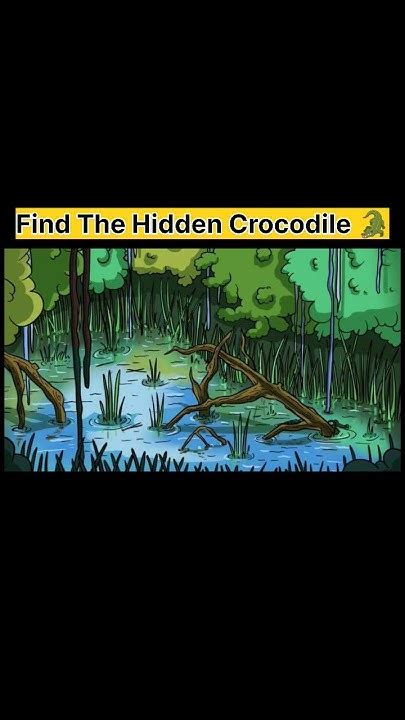 Find The Hidden Crocodile 🐊 Optical Illusion Youtube
