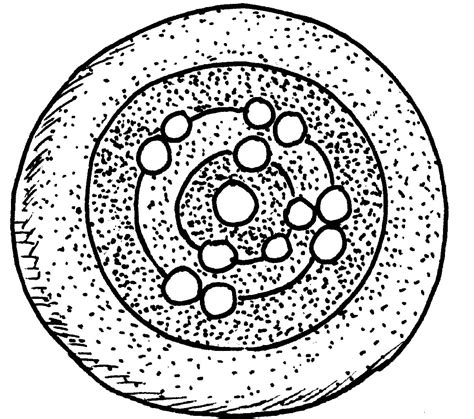 Model Of Atomic Orbits Chemistry Experiments Sawan Books