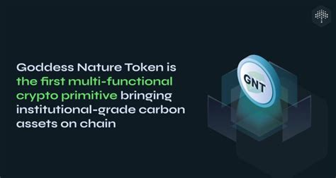 Toucan Protocol Functions And Features Carbonadvisor Org