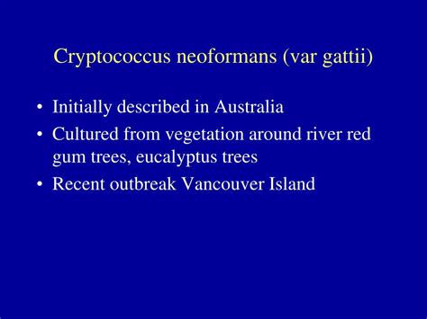 Ppt Cryptococcus Neoformans And Other Yeast Powerpoint Presentation Free Download Id 6773808