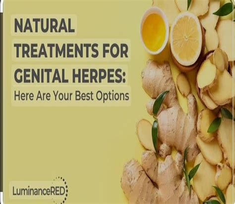 About ~excel Herbal Cure