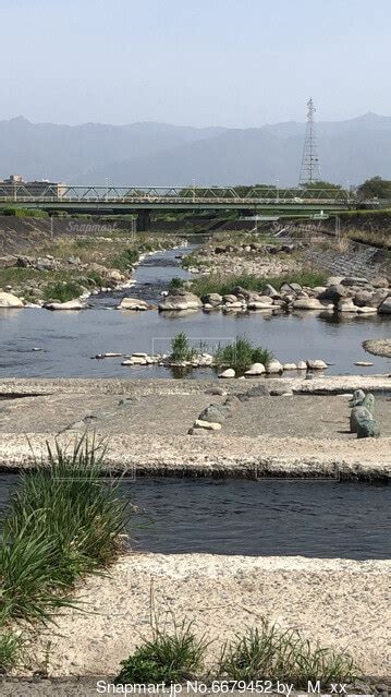 水域の隣に立っているカモメの群れの写真・画像素材 6679452 Snapmart（スナップマート）