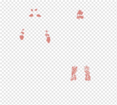 Logo Line Brand Desktop Point Line Text Orange Computer Png Pngwing