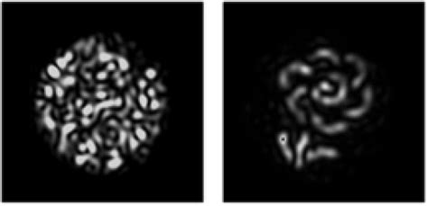 Exploiting Multimode Waveguides For In Vivo Imaging