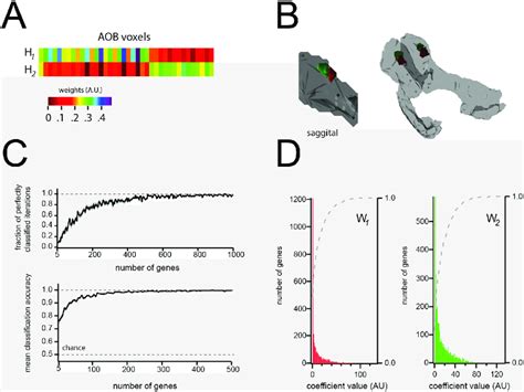 Clustering S 2 Returns The Known Anterior And Posterior Download Scientific Diagram