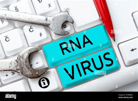 Writing Displaying Text Rna Virus Word Written On A Virus Genetic Information Is Stored In The
