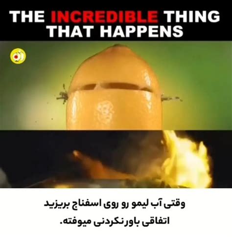 با این روش جذب آهن اسفناج رو بیشتر کنید فیلم