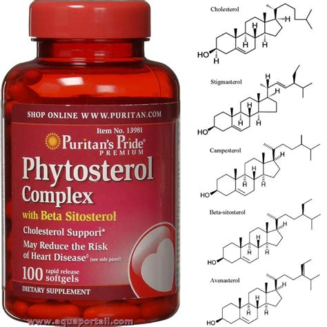 Phytostérol Définition Et Explications