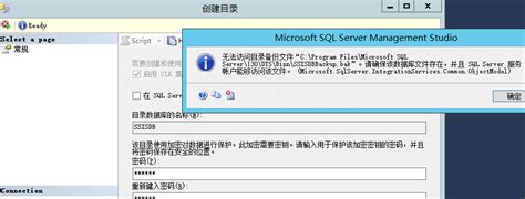 创建integration services 目录失败 csdn社区
