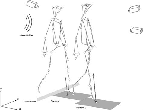 Configuration Of The Experimental Planned Gait Termination Trial
