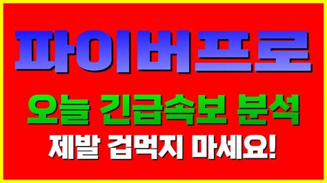 주식 파이버프로 오늘 나온 긴급 속보 분석 제발 겁먹지 마세요 Youtube