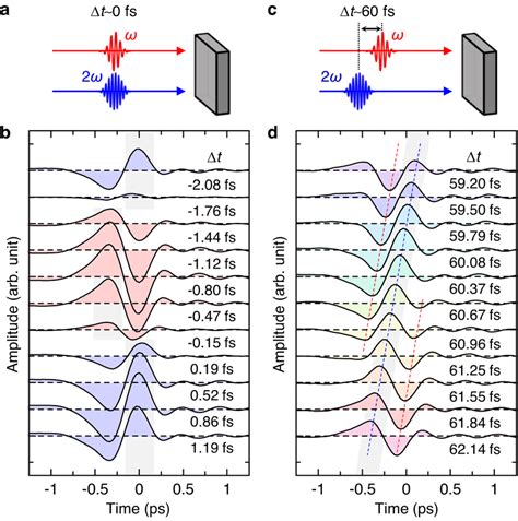Phase Of Terahertz Electric Fields Depending On The Creation Time Download Scientific Diagram
