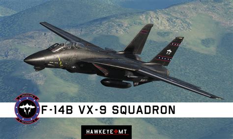 F 14b Vx 9 Squadron Skin