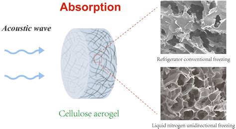 Effects Of Freeze Drying Processes On The Acoustic Absorption Performance Of Sustainable