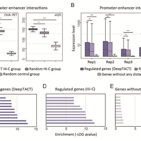 High Resolution Promoter Promoter Interactions Download Scientific Diagram