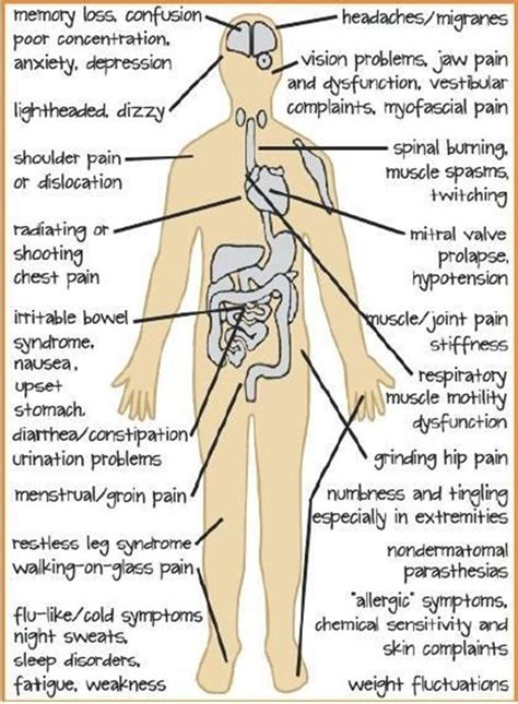 Lyme Disease And Co Infections Healthy U