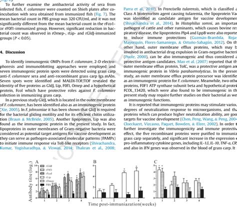 Western Blott Analysis Of The Recombinant Proteins With Sera Collected Download Scientific