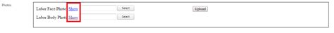 Information Technology Lectures ITLec R D HyperLinks Inside IFrame In MS CRM Does Not Work
