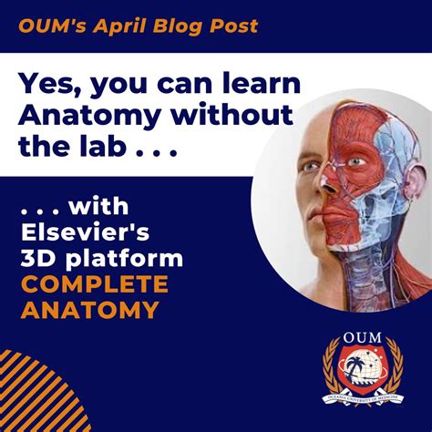 Tom Harkness Posted On Linkedin