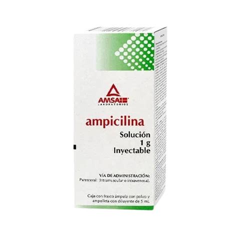 Ampicilina 1 G Sol Iny 5 Ml Pro Médicos
