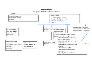 A4-Digestive System Case Study copy - BIOL2402 Name: Jay’Lon Carroll Assignment 4: Digestive ...