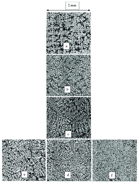 Dendritic Structure Of Unidirectional Solidification Of The