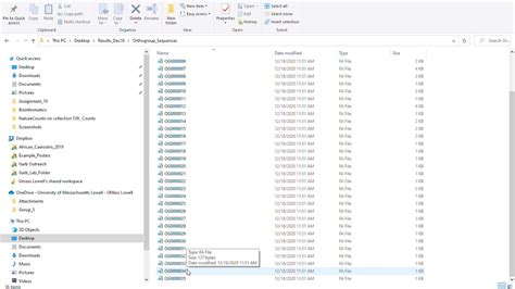 Orthofinder Tutorial P2 Youtube
