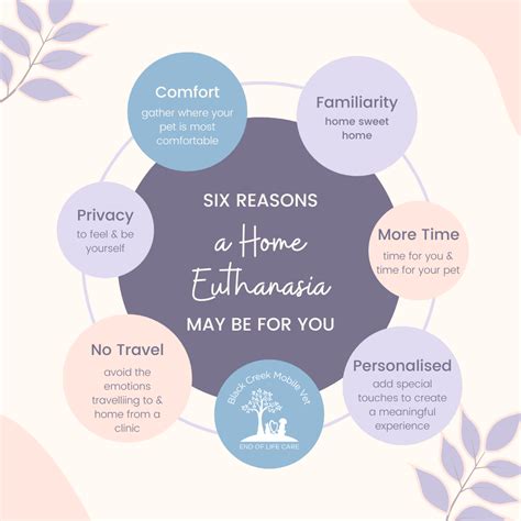 In Home Pet Euthanasia Peaceful Passings — Black Creek Mobile