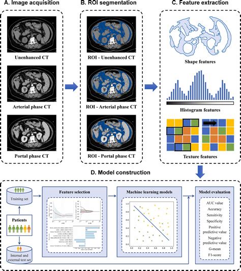 Prediction Of Hepatic Encephalopathy After Transjugular Intrahepatic