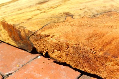 Speculating On A Molave Tugas Tree Market Manila