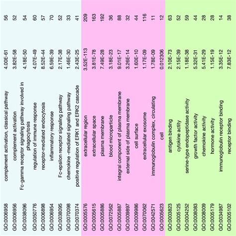 Functional Enrichment Analysis Of Differentially Expressed Irgs A Go