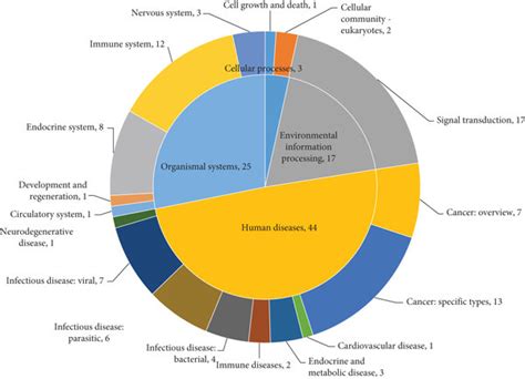 Double Loop Diagram Of Enrichment And Classification Of The Core Target