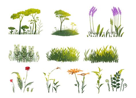 Plant Leaf Procreate Brushes Graphicsbunker