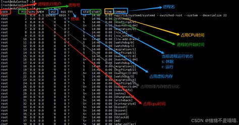 【linux】linux入门实操——进程管理（重点） csdn博客