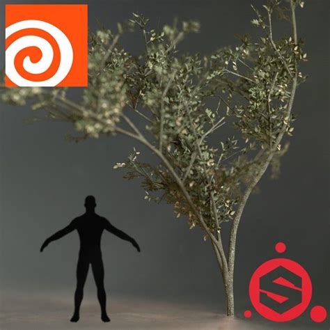 a man standing in front of a tree with an orange target above it and