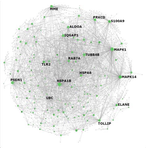 Networkanalyst Visualization Of Reactome Pathway Neutrophil Download Scientific Diagram